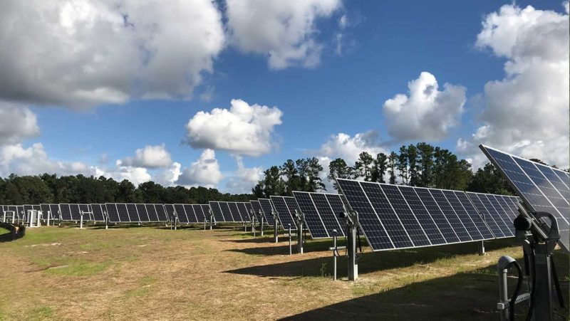 Solar Farm | Mirasol Solar