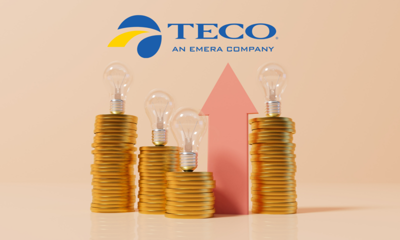 TECO's Price Increases Post-Hurricane Milton | Mirasol Solar